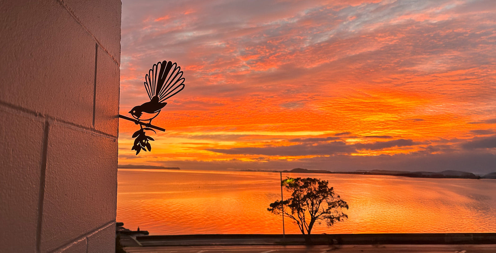 One Bird. One Story. – Metalbird Canada