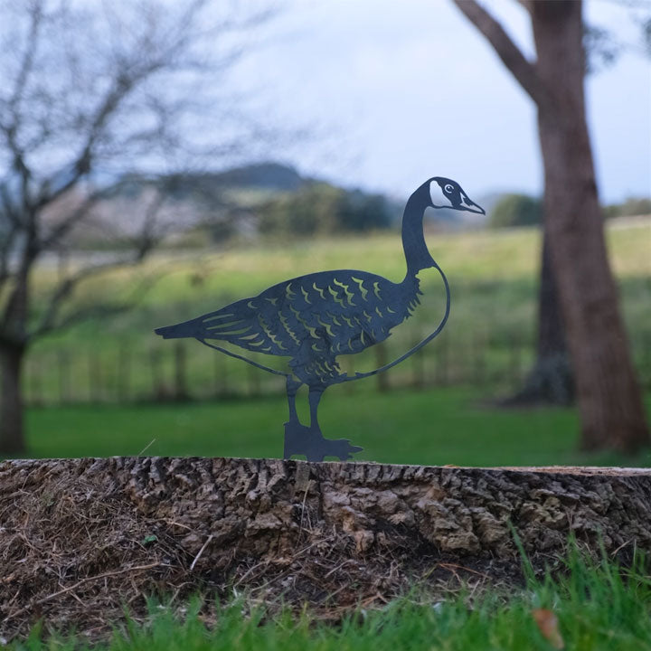 Canada Goose – Metalbird Canada