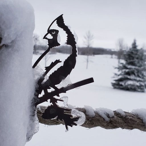 Metalbird - Proudly Made Here in North America – Metalbird Canada