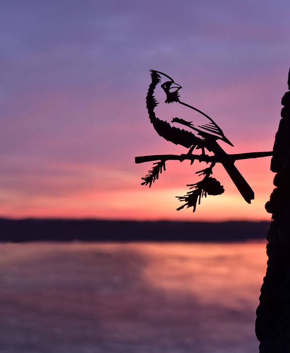 Metalbird - Proudly Made Here in North America – Metalbird Canada