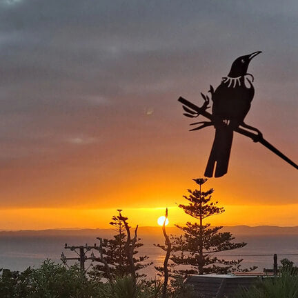 Metalbird - Proudly Made Here in North America – Metalbird Canada